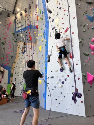 MOVEMENT GRAPEVINE - Updated December 2025 - 73 Photos - 3105 William D ...