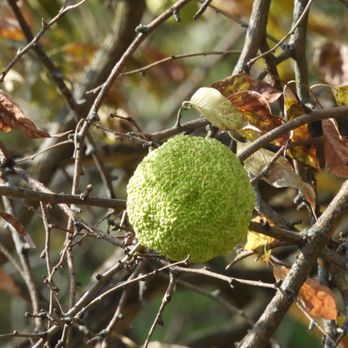 BILL YECK PARK - Updated March 2025 - 117 Photos & 11 Reviews - 2230 E ...