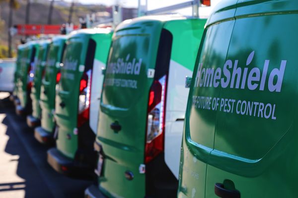 HOMESHIELD PEST CONTROL - Updated December 2025 - 169 Photos & 298 ...