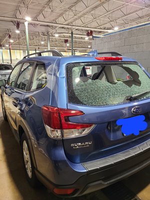 SHEEHY SUBARU OF SPRINGFIELD - Updated December 2025 - 51 Photos & 369 ...