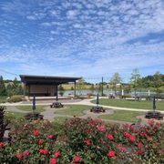 COUNTRY HERITAGE WINERY & VINEYARD - 95 Photos & 72 Reviews - 0185 Cr ...