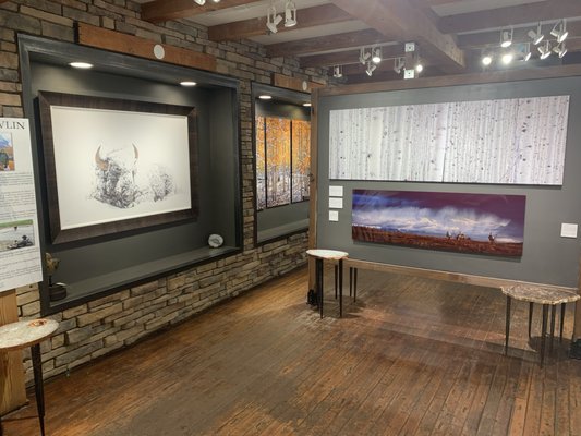 TONY NEWLIN GALLERY AT TELLURIDE - Updated August 2025 - 100 W Colorado ...
