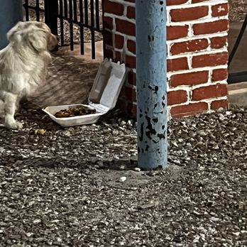 THE SHACK - Updated June 2025 - 77 Photos & 61 Reviews - 3610 Reed Rd ...