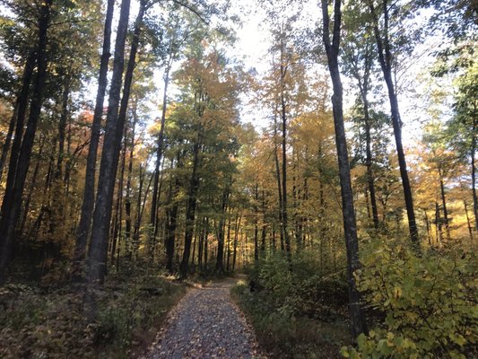 MUSSER GAP TRAIL - ROTHROCK STATE FOREST - Updated March 2024 - State ...