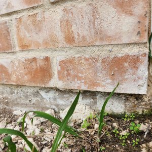 SERVPRO OF EAST DALLAS - Updated June 2024 - 24 Photos - 605 1st Ave ...