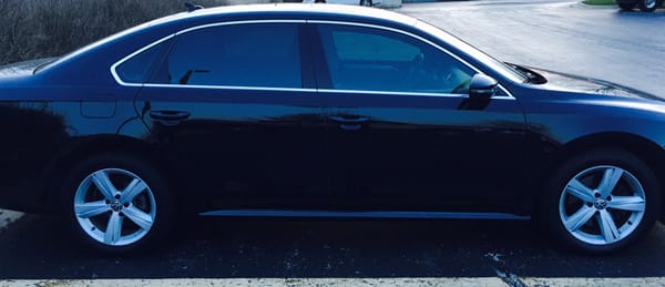 GOLD WINDOW TINT - Updated November 2025 - 69 Photos & 101 Reviews ...