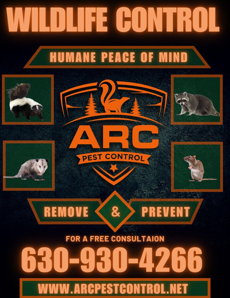 ARC PEST CONTROL - Updated July 2025 - Request a Quote - 10 Photos ...