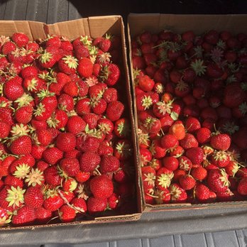 CAVANNA’S FARM - Updated October 2025 - 44 Photos & 18 Reviews - 80 ...