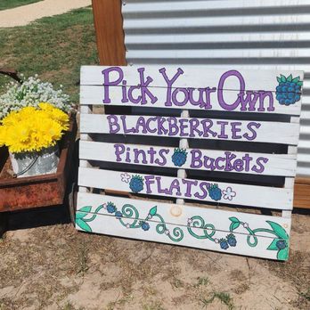 ROCKBERRY RANCH - Updated January 2026 - 167 Photos & 23 Reviews - 995W ...