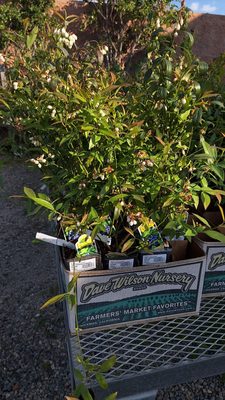 CAL POLY POMONA FARM STORE - Updated July 2025 - 1314 Photos & 219 ...