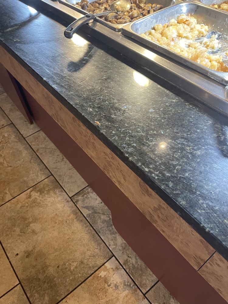 CHINA KING SUPER BUFFET II - Updated September 2024 - 15 Photos & 26 ...