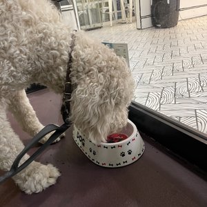 OKO CAFE - 808 Photos & 601 Reviews - Cafes - 1610 W Redondo Beach Blvd ...