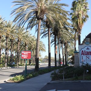 ALPINE INN - Updated November 2025 - 115 Photos & 169 Reviews - 715 W ...