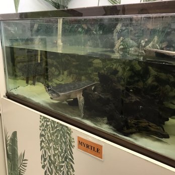 BUG & REPTILE MUSEUM - Updated December 2025 - 76 Photos & 43 Reviews ...