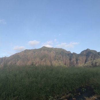 MT KA’ALA TRAIL - Updated September 2025 - 343 Photos & 45 Reviews ...