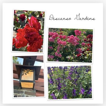 DESCANSO GARDENS - Updated November 2024 - 10689 Photos & 1967 Reviews ...