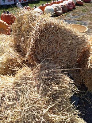 RICE’S SALE & COUNTRY MARKET - Updated September 2024 - 35 Photos & 66 ...