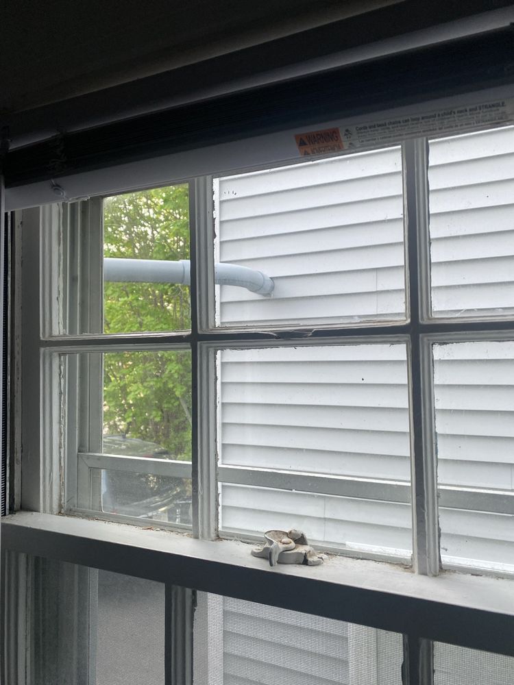 SOLO GLASS - Updated July 2024 - 14 Photos & 107 Reviews - 383 ...