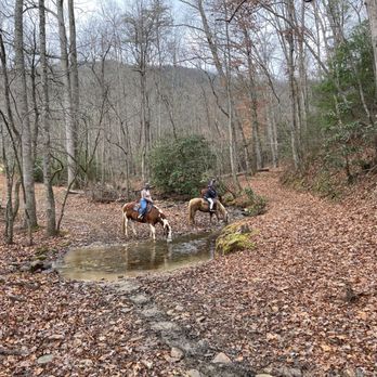 TRACKROCK STABLES - Updated January 2026 - 59 Photos & 27 Reviews - 202 ...