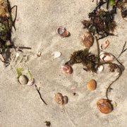 MCCOOK POINT BEACH AND PARK - 48 Photos & 10 Reviews - McCook Pl, East ...