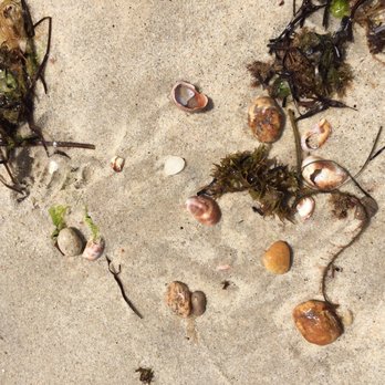 MCCOOK POINT BEACH AND PARK - Updated October 2025 - 55 Photos & 11 ...