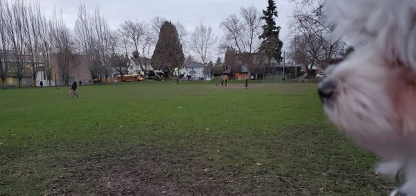 UNTHANK PARK - Updated December 2025 - 11 Reviews - 510 N Shaver St ...