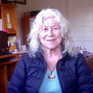 GOFO EXPRESS - Updated August 2025 - 17 Photos & 106 Reviews - 36-47 ...