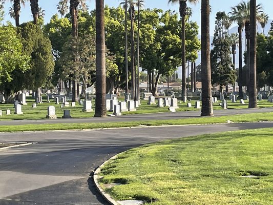 POMONA CEMETERY - Updated May 2026 - 49 Photos & 17 Reviews - 502 E ...
