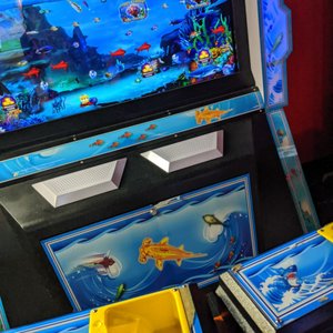 PLANET PLAY - 35 Photos - 418 Bedford Ave, Bellmore, New York - Indoor ...