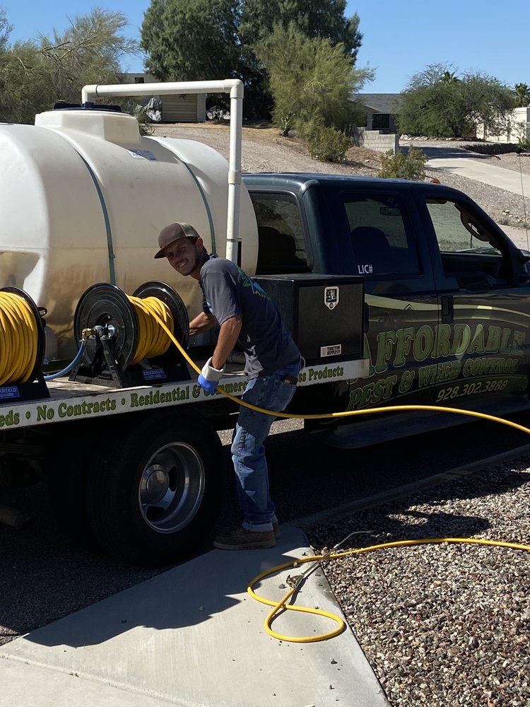 AFFORDABLE PEST AND WEED CONTROL - Updated May 2024 - 2330 Smoketree ...