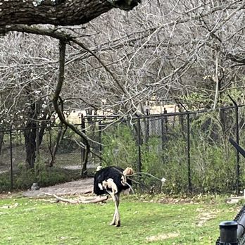 DICKERSON PARK ZOO - Updated October 2025 - 132 Photos & 50 Reviews ...