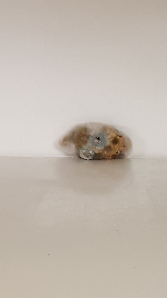 Asda Leith - Trusted Since 2013 - Updated July 2025 - 16 Reviews - 2 ...