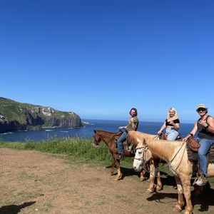 IRONWOOD RANCH - 207 Photos & 170 Reviews - Lahaina, HI - Yelp