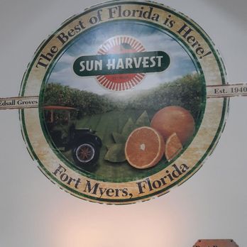 SUN HARVEST CITRUS - 394 Photos & 262 Reviews - 14601 Six Mile Cypress ...