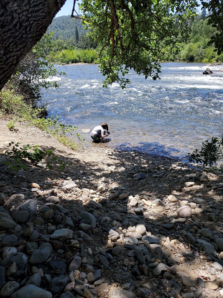 HENNINGSEN LOTUS PARK - Updated June 2024 - 66 Photos & 19 Reviews ...