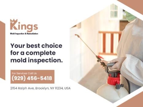 KINGS MOLD INSPECTION & REMEDIATION - Open for Business - Request ...