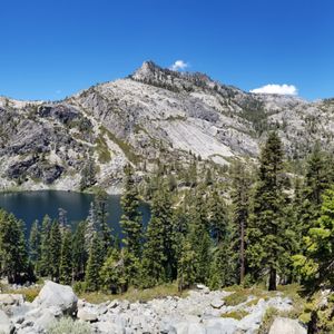 EAGLE FALLS TRAILHEAD - 824 Photos & 191 Reviews - Hwy 89, South Lake ...