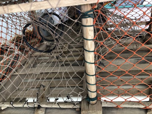 RYER’S LOBSTERS - 57 Photos & 32 Reviews - 8494 Peggys Cove Road ...