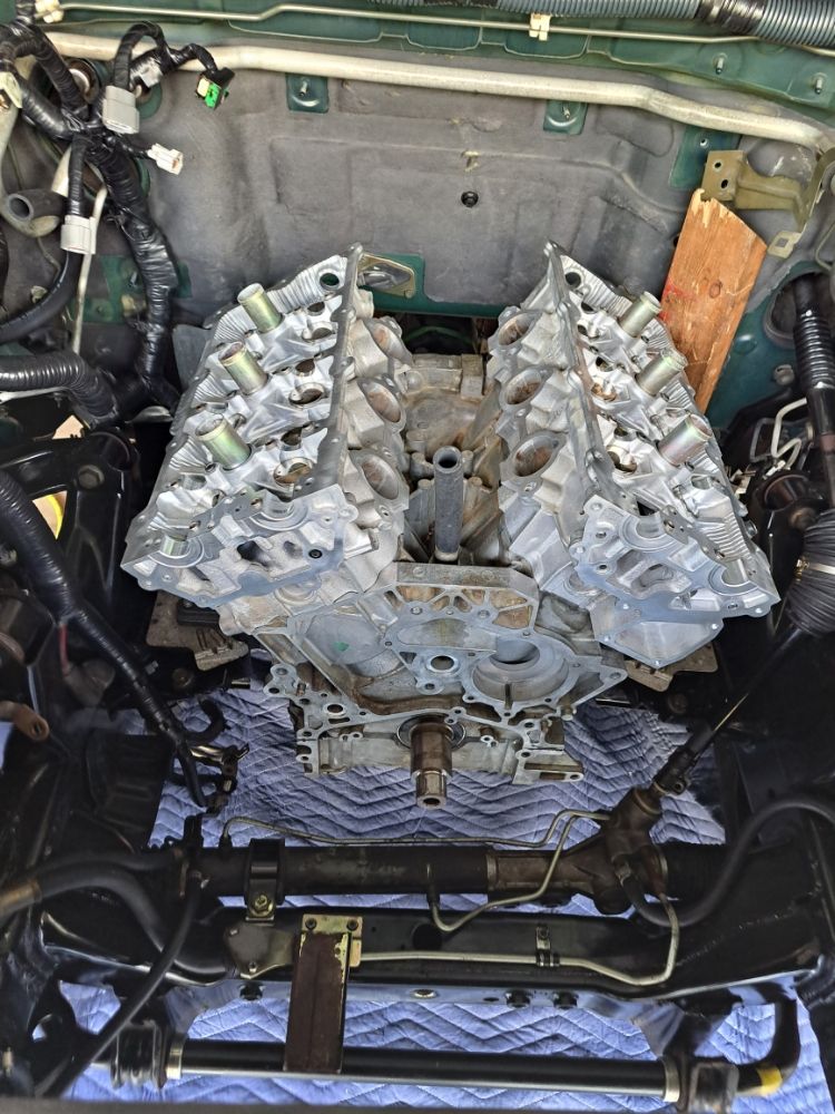 THE HANDY ROSE - Updated May 2025 - 13 Photos - Wesley Chapel, Florida ...