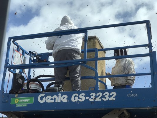 PRO PACIFIC PEST CONTROL - Updated June 2024 - 52 Photos & 285 Reviews ...