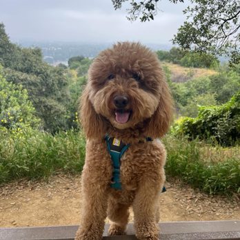 FRYMAN CANYON PARK - Updated October 2025 - 326 Photos & 119 Reviews ...