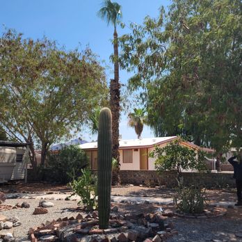 YUMA MASTER TREE SERVICES - Updated October 2025 - 661 E 32nd St, Yuma ...
