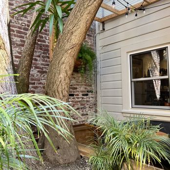 BIRBA - Updated November 2024 - 266 Photos & 203 Reviews - 458 Grove St ...