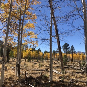 ASPEN NATURE LOOP - Updated December 2025 - 55 Photos & 18 Reviews ...