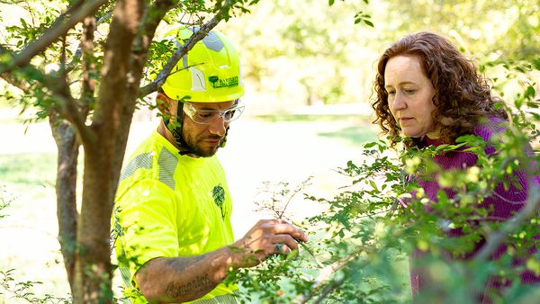 BARTLETT TREE EXPERTS - Updated December 2025 - 57 Photos & 23 Reviews ...