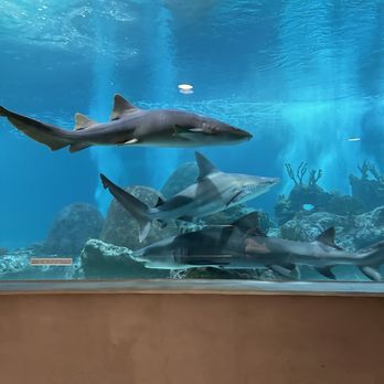 ARIZONA BOARDWALK - Updated June 2024 - 114 Photos & 26 Reviews - 9500 ...