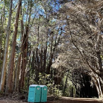 WAIHOU SPRING TRAIL - Updated September 2025 - 70 Photos & 21 Reviews ...