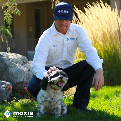 MOXIE PEST CONTROL - Updated October 2025 - 93 Photos & 86 Reviews ...