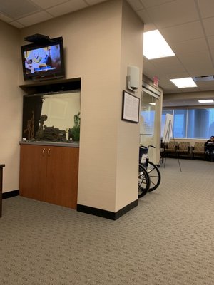 SUBURBAN ORTHOPAEDICS - Updated December 2025 - 14 Photos & 11 Reviews ...