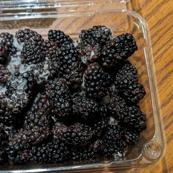 WEGMANS - Updated May 2024 - 303 Photos & 283 Reviews - 53 Third Ave ...